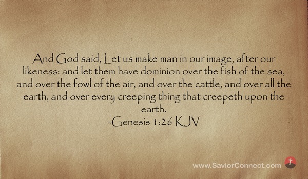 Genesis 1:26 KJV