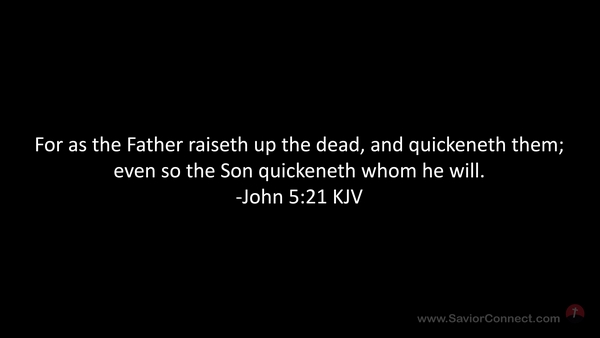john 5 21 23 kjv