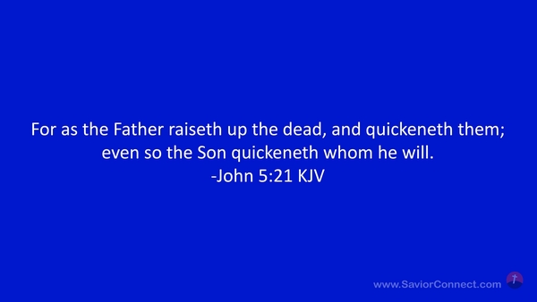 john 5 21 23 kjv