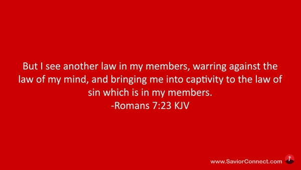 Romans 7:23 KJV