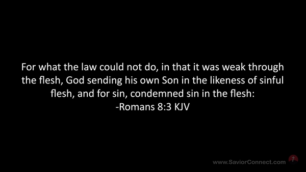 what is the law of the flesh