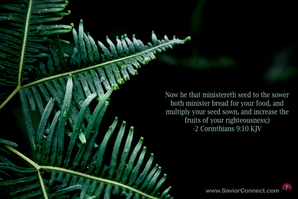 2 Corinthians 9:10 KJV