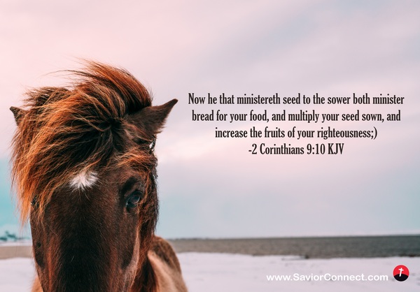 2 Corinthians 9:10 KJV