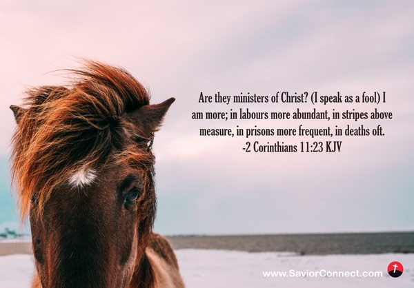 2 Corinthians 11:23 KJV