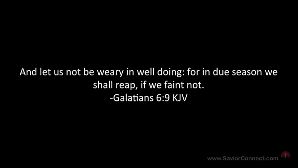 Galatians 6:9 KJV