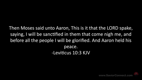leviticus 10