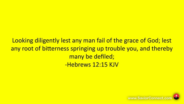 Hebrews 12:15 KJV