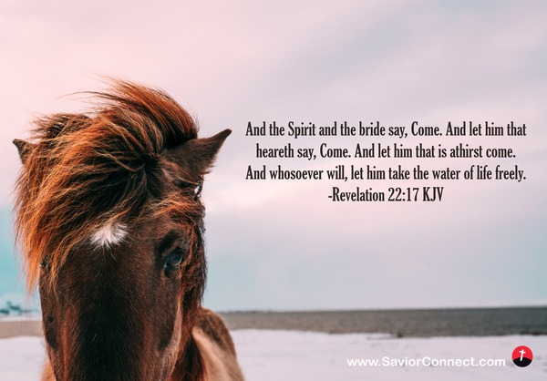 Revelation 22:17 KJV