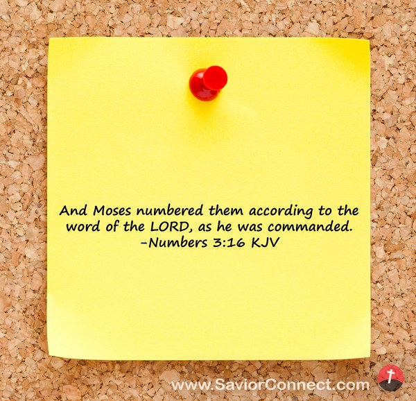Numbers 3:16 KJV