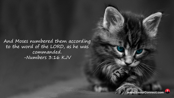 Numbers 3:16 KJV