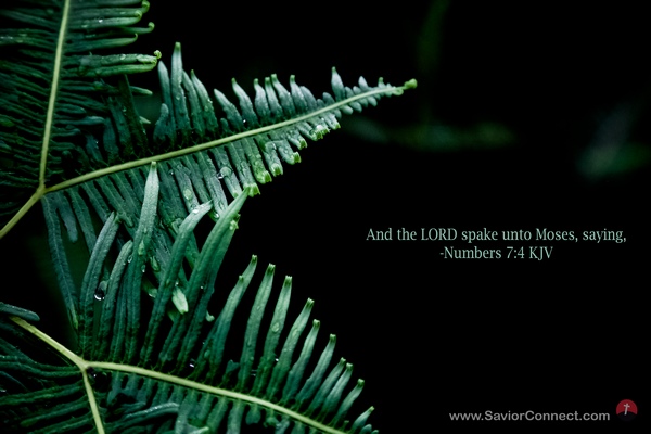 Numbers 7:4 KJV