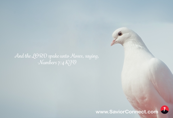 Numbers 7:4 KJV