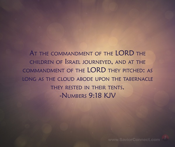 ninth commandment kjv