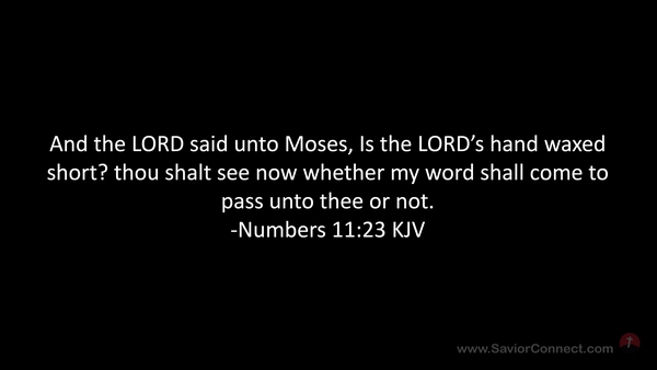 Numbers 11:23 KJV