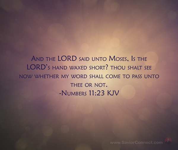 Numbers 11:23 KJV