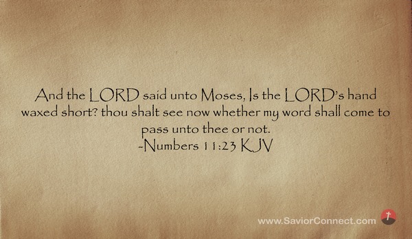 Numbers 11:23 KJV