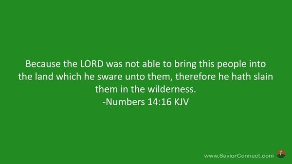 Numbers 14:16 KJV