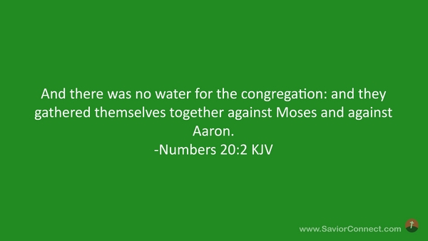 Numbers 20:2 KJV
