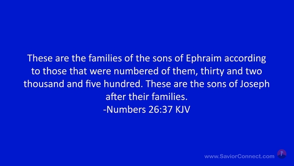 Numbers 26:37 KJV