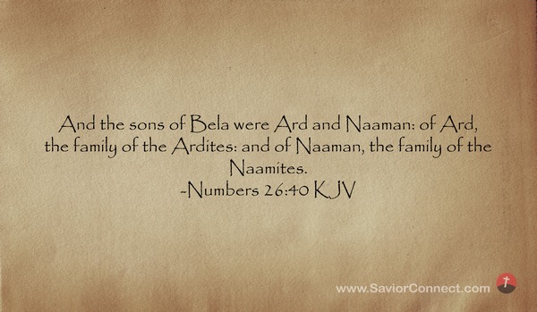 Numbers 26:40 KJV