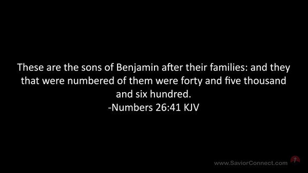 Numbers 26 41 Kjv
