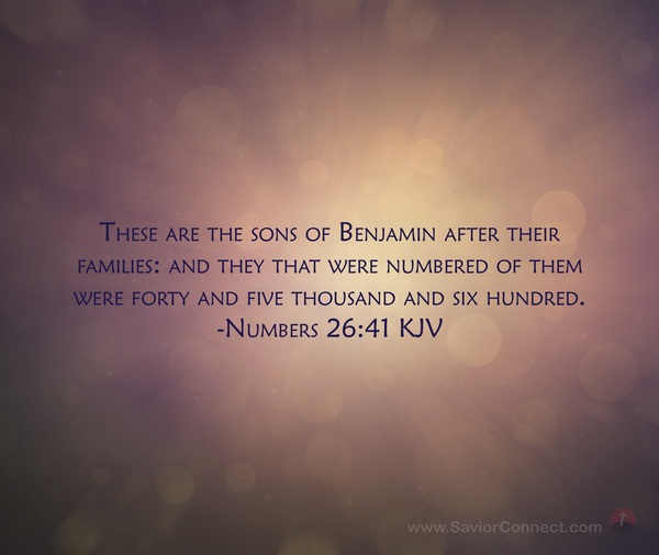 Numbers 26 41 Kjv