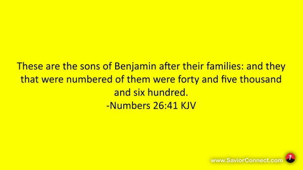 Numbers 26 41 Kjv