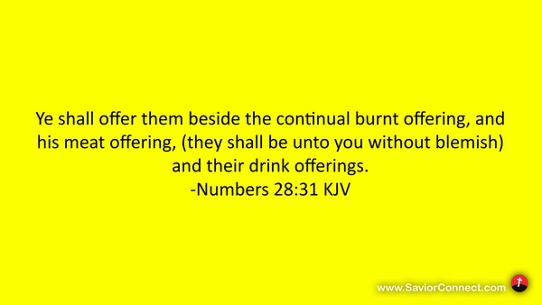 Numbers 28:31 KJV