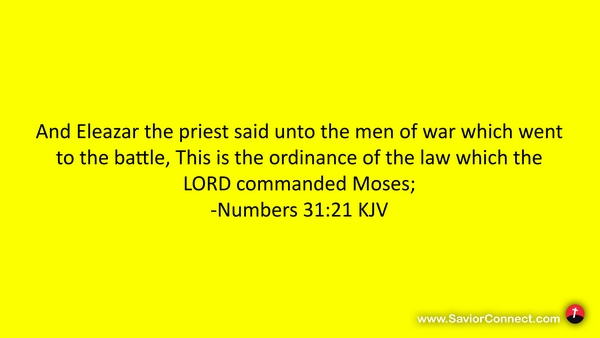 Numbers 31:21 KJV