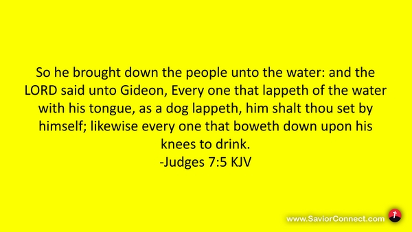 Judges 7:5 KJV