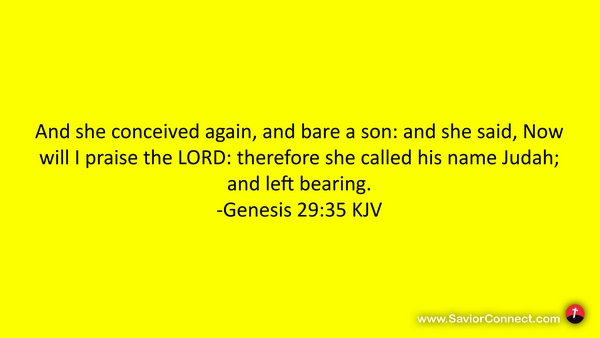 Genesis 29:35 KJV