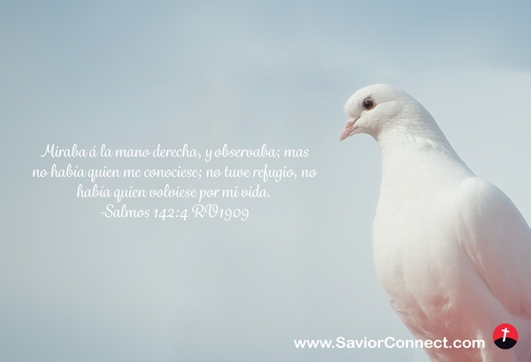 Salmos 142:4 RV1909