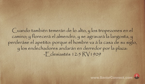 Eclesiastés 12:5 RV1909