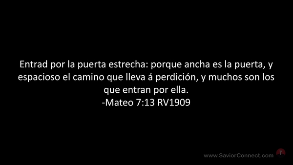 mateo 7 13