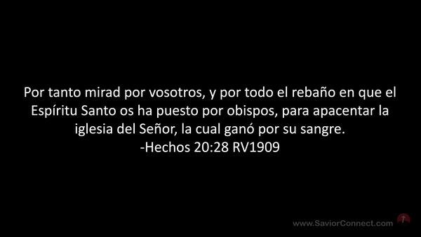 Hechos 20:28 RV1909