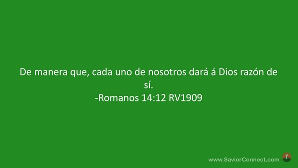 Romanos 14:12 RV1909