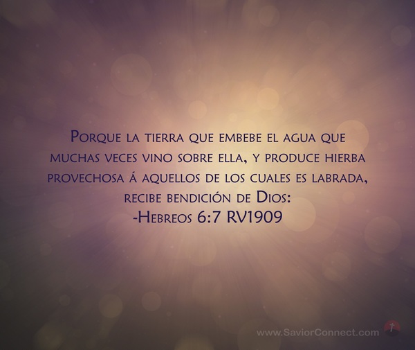 Hebreos 6:7 RV1909