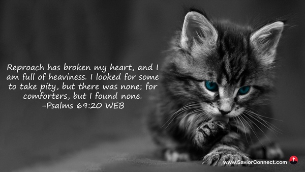 Psalms 69:20 WEB