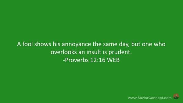 proverbs 12 16 17