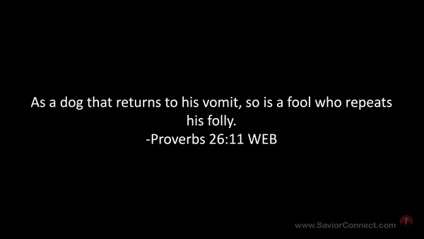 proverbs 26 11 wallpaper