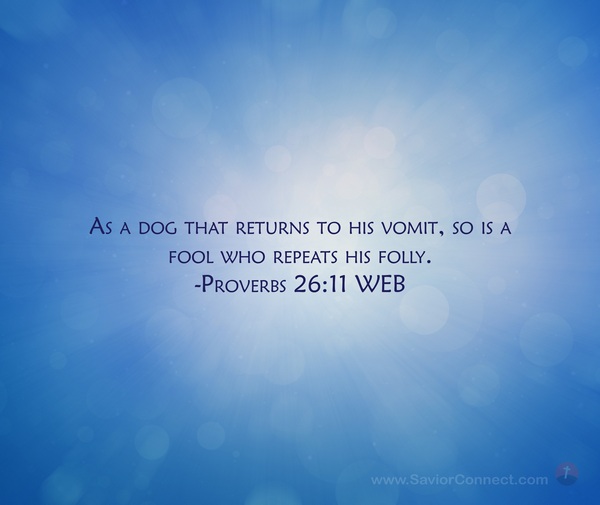 proverbs 26 11 wallpaper