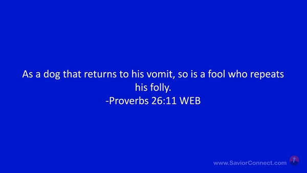 proverbs 26 11 wallpaper