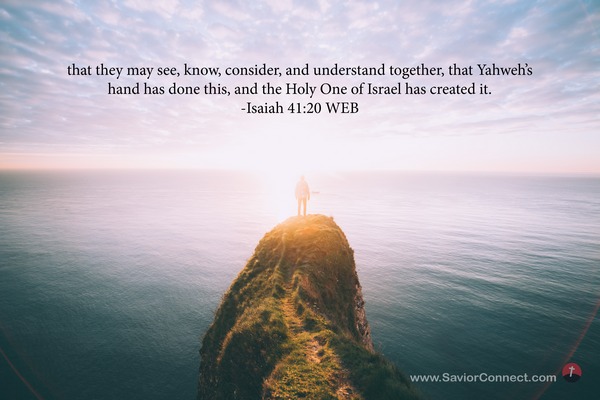 Isaiah 41:20 WEB