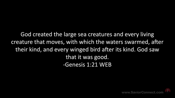 genesis 1 creatures
