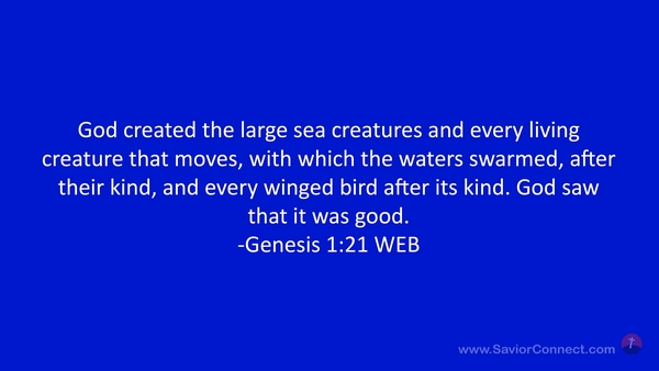 genesis 1 creatures