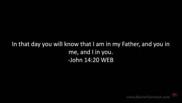 john 14 20