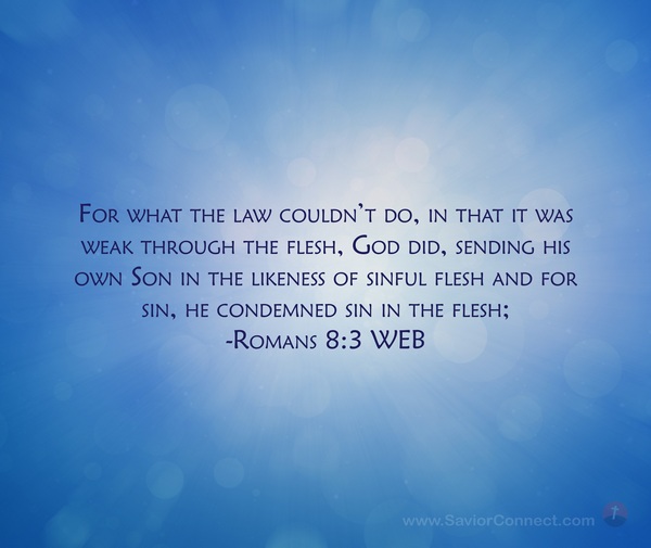 what is the law of the flesh