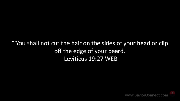 leviticus 19 27