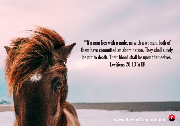 abomination bible scripture